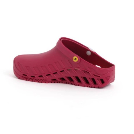 Zoccoli sanitari Dr Scholl Clog Evo Vinaccia - Wine | Vendita Online